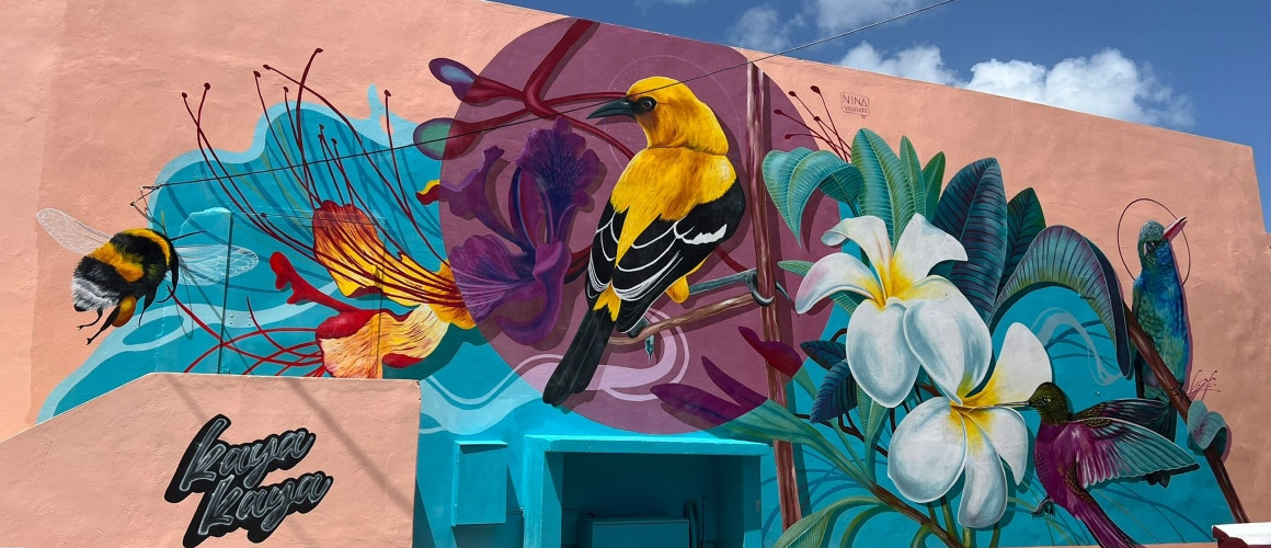 Curaçao City Highlights - Irie Tours